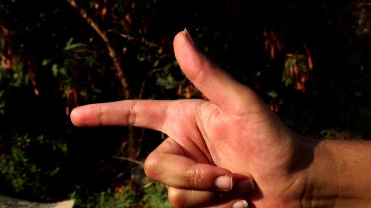 Warding off Disappearance, Getting Beyond Icons: The (Counter ...