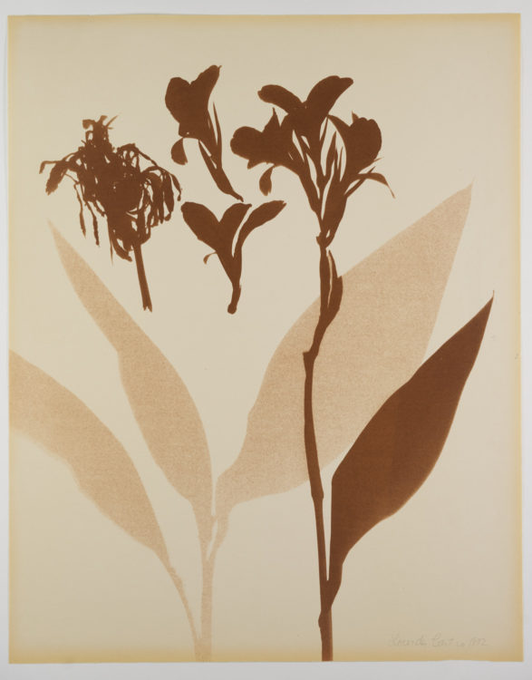 Shadows & spaces for mental projection: Lourdes Castro, Ulla von ...
