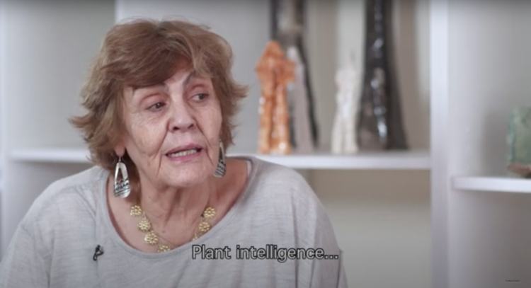 Simone Fattal — AWARE